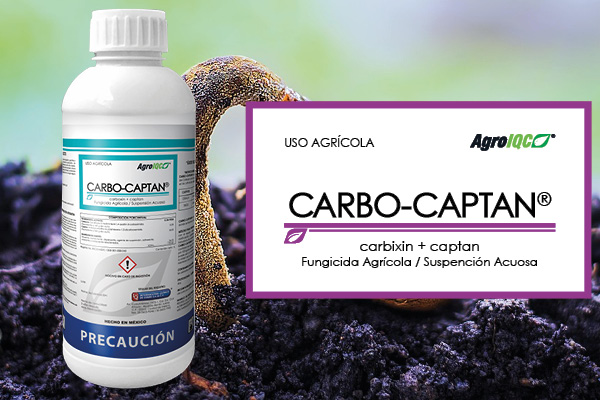 Agro IQC | Carbocaptan - Semillas